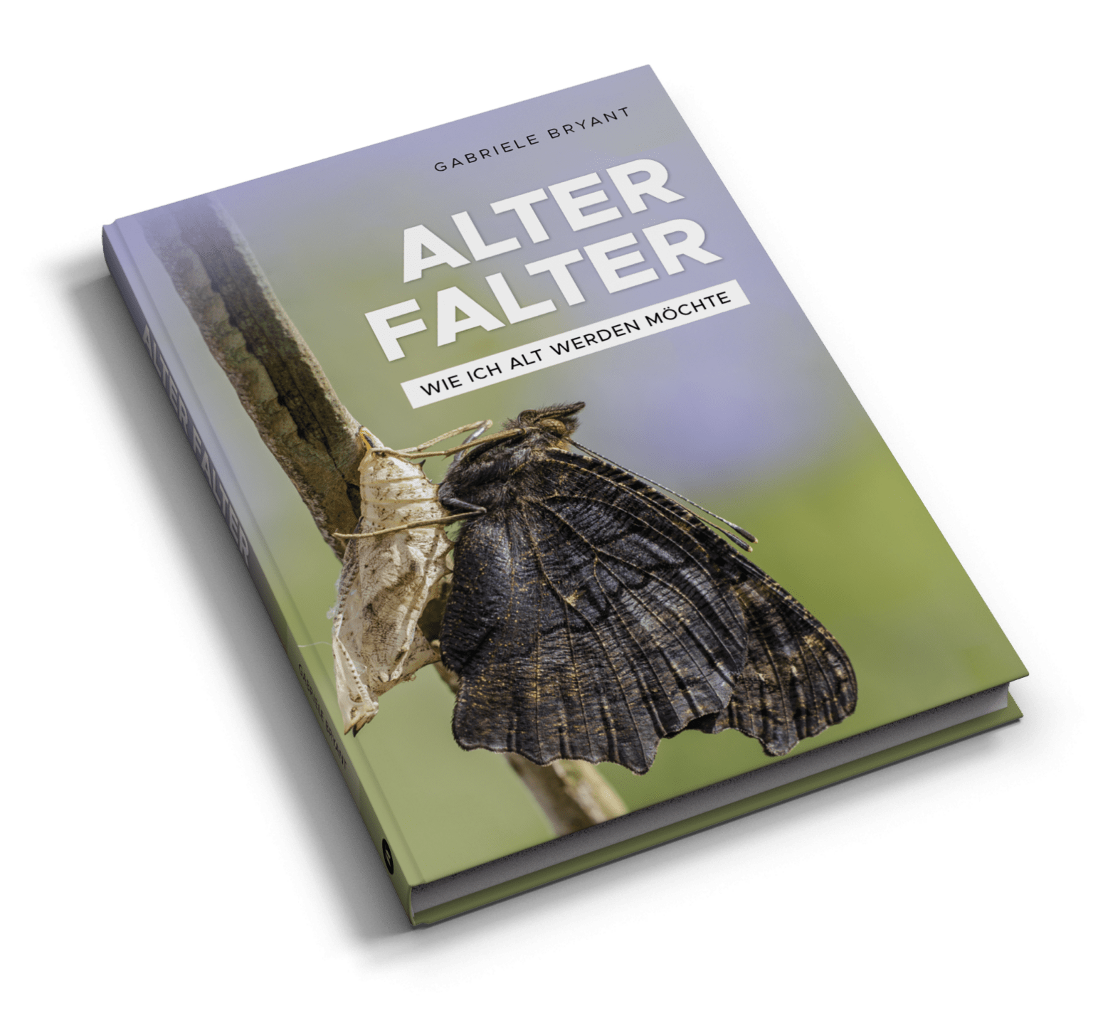 Neu bei Blogs50plus: alter Falter! - Das Unruhewerk - Start